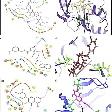 Interaction Profile And Docking Pose Of The Best Hit Compounds Obtained