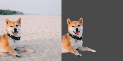 Ffmpeg 创建 Aar 文件并将其添加到 Android 项目中 实时互动网