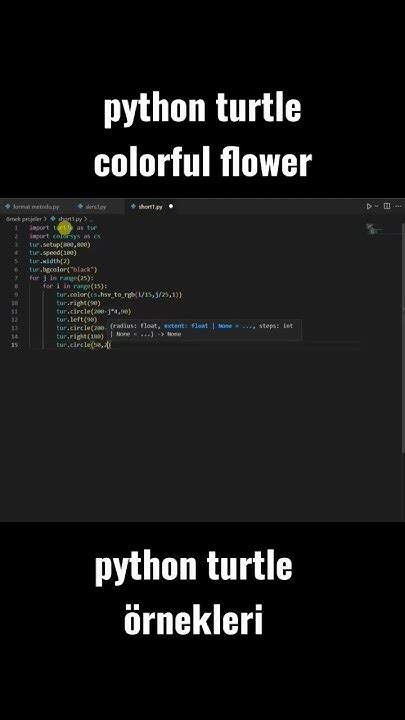 Python Turtle Colorful Flower çizim örneği Shorts Youtubeshorts Python Flowers Coding