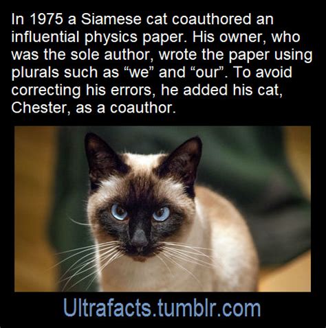 Click HERE For More Facts Ultrafacts On Tumblr
