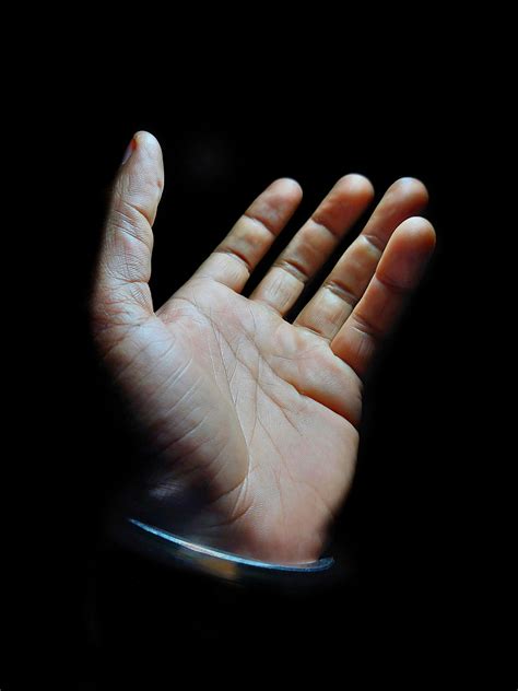 Photo of a Baby's Palm · Free Stock Photo