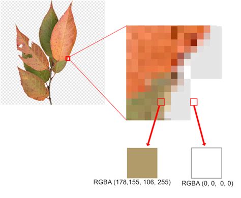 イメージの構成要素RGBAとは Shade D Knowledge Base