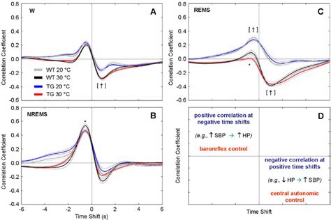 Cross Correlation Functions Between Spontaneous Fluctuations Of Heart