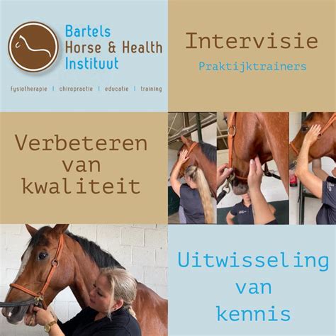 Wat Ben Ik Toch Blij Met Mijn Paardenmassage Harrop Facebook