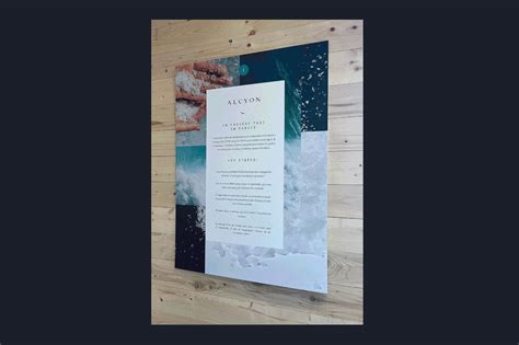 18 Alcyon Posters Packaging Of The World