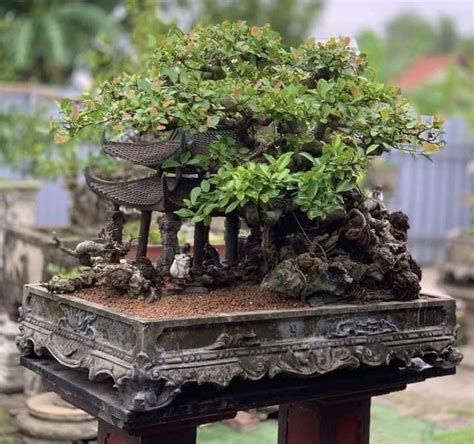 Handcrafted Bronze Bonsai Tree On Old Table