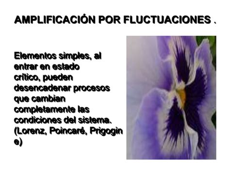 Información Biológica Fractales Y Estructuras Disipativas Ppt
