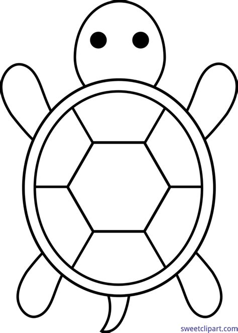 Turtle Shell Pattern Drawing At Explore Collection