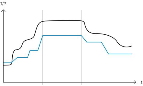 The Sterilization Cycle With Temperature Segments Raypa