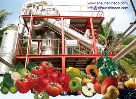 Tomato Paste Plant Tomato Paste Processing Factory High Quality Tomato Paste Plant Tomato Paste