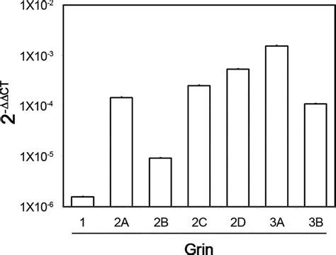 Nmdar Subunit Mrna Expression The Bars Represent 2 ΔΔ Ct Averages ±
