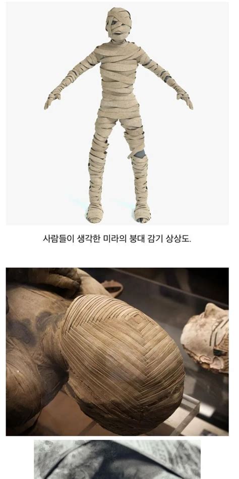 우리가 생각하는 이집트 미라와 실제 미라 이집트 그림 웃긴