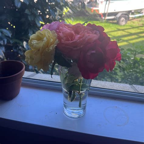 Anna Elliott Youtube