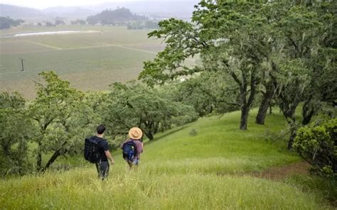 Outdoor Adventures The Best Hiking In The Napa Valley