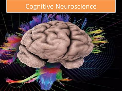Schools Of Psychology Brief Description Of Behaviorism Structuralism