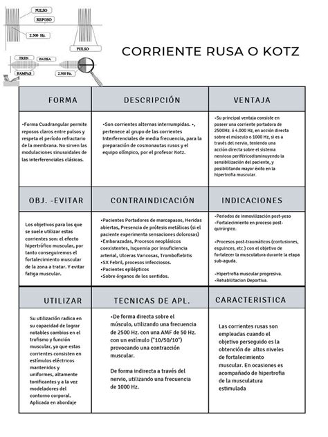 Corriente Rusa Pdf Músculo Esquelético Sistema Nervioso