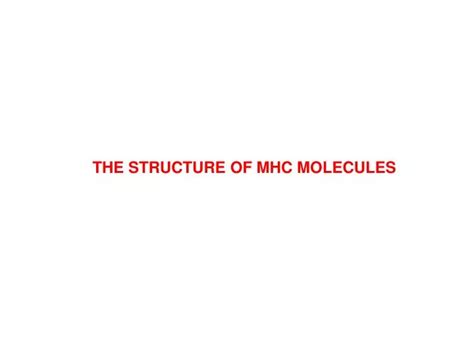 PPT THE STRUCTURE OF MHC MOLECULES PowerPoint Presentation Free Download ID
