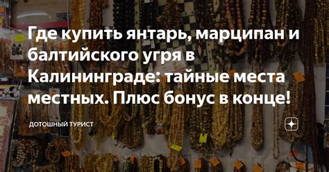 Где купить янтарь, марципан и балтийского угря в Калининграде: тайные ...