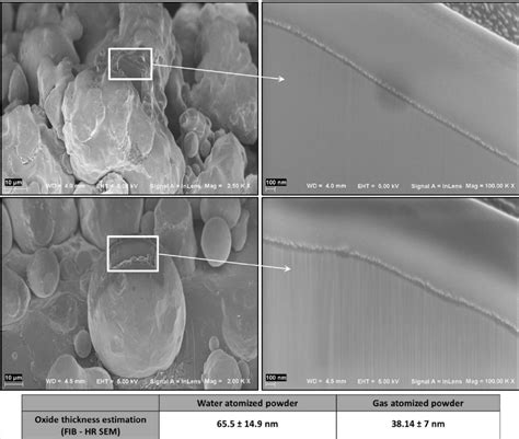 Analyzed Cross Sections Of Powder Particles From Both Grades With Fib Download Scientific