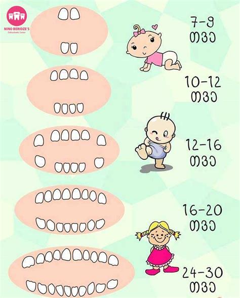 რატომა არის სარძევე კბილები მნიშვნელოვანი