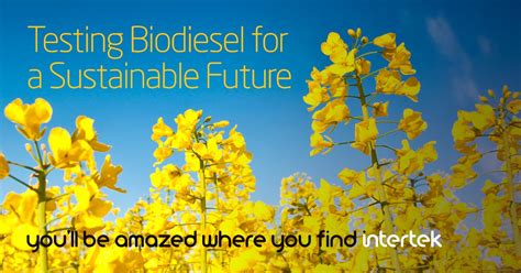 Intertek Explains Fame Quality And Safety Intertek Uk And Ireland Posted On The Topic Linkedin