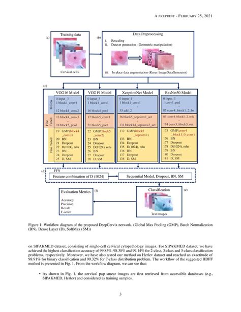 DeepCervix A Deep Learning Based Framework For The Classification Of Cervical Cells Using