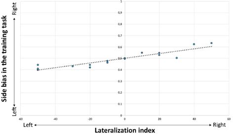 Figure 4 From Brain Asymmetry In Evolution Brain Asymmetry In Evolution Semantic Scholar