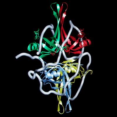 Single Stranded DNA Binding Protein Is Dynamic Critical To DNA Repair E Science News