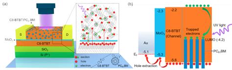 Ultrasensitive Organic Phototransistors Based On Novel Hybrid Layered