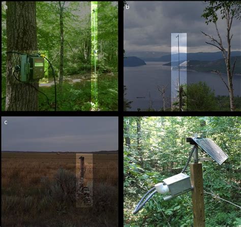 Examples Of Bat Detector Deployment Actual Bat Detector Deployments Download Scientific