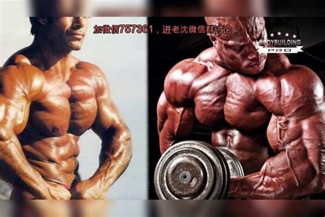 见仁见智 健美运动，过去与现在对比！ 对比