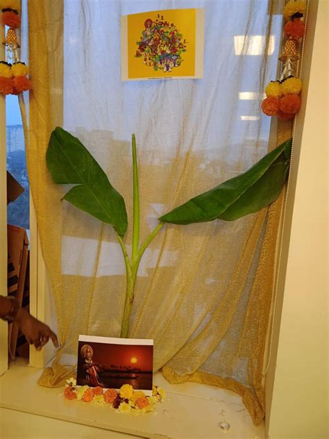 Bay Decorations Pacific Group Of Companies