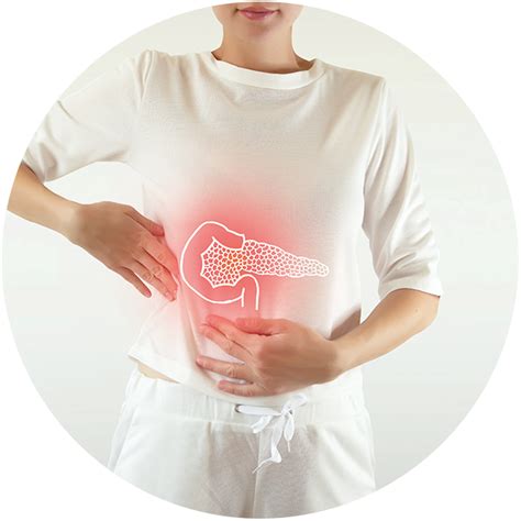 일상 건강학 평생건강 지킴이 건강보험 웹진