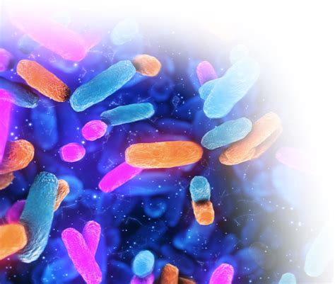 Microbial Genome Sequencing Daicel Arbor Biosciences