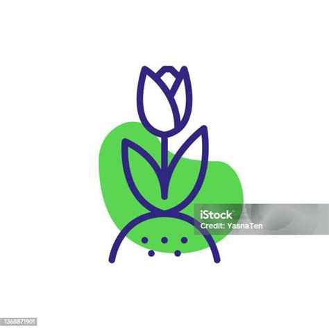 성장 튤립 봄 꽃 아이콘 픽셀 완벽 편집 가능한 스트로크 색상 그리기에 대한 스톡 벡터 아트 및 기타 이미지 그리기 꽃무늬 꽃잎 Istock