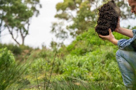 Premium Photo University Babe Conducting Research On Forest Health Farmer Collecting Soil