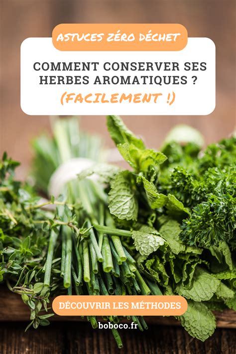 Comment Conserver Ses Herbes Aromatiques