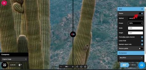 How To Resize An Image Without Losing Quality Https Webtriiv Link Wp Content Uploads Https