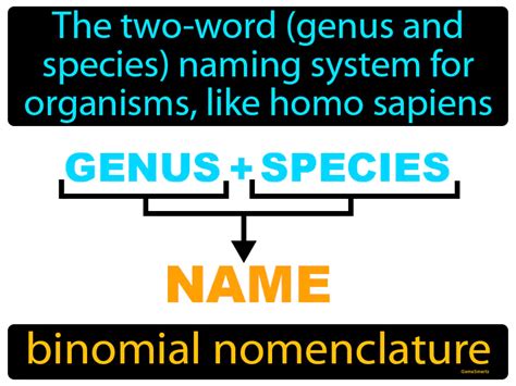 Binomial Nomenclature Definition And Image Radience Gaming