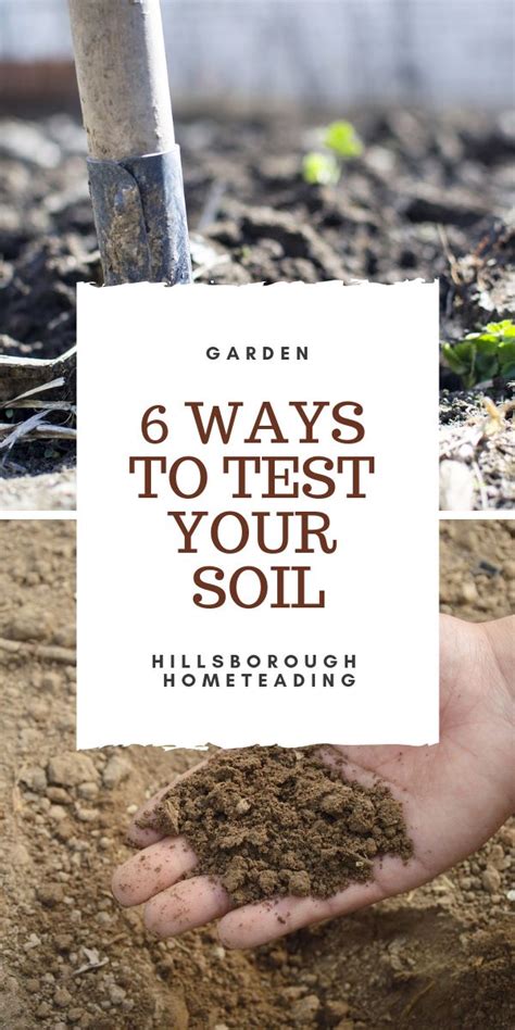 6 Ways To DIY Soil Test Your Garden Soil Garden Soil Garden Types Soil Testing