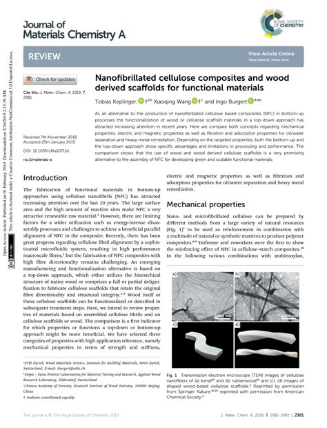 Pdf Nanofibrillated Cellulose Composites And Wood Derived Scaffolds For Functional Materials
