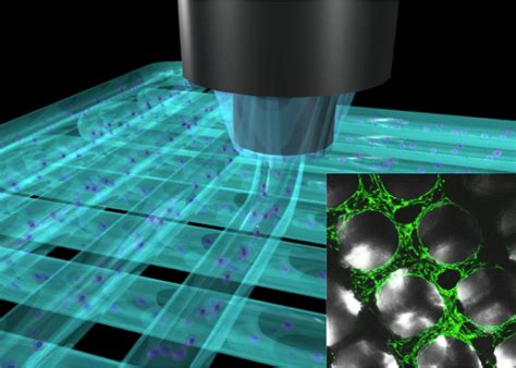 Research Areas Biomaterials Group