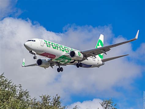 무료 이미지 차량 공기 호스 네덜란드 로테르담 주 홀란 트 여객기 에어 버스 두 배 이륙 대위 트랜스 아비 아 Nl