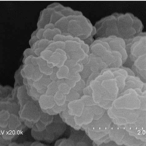 Sem Micrographs Of Bare Monolith A And Mof Monolith B Hrtem Image