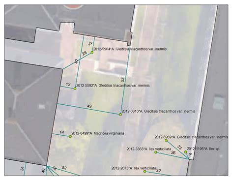 Distances In Feet From Tree Center Points To Building Polygons As