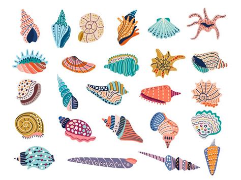 Doodle Seashell Colored Stylized Vector Illustrations Of Marine Seash