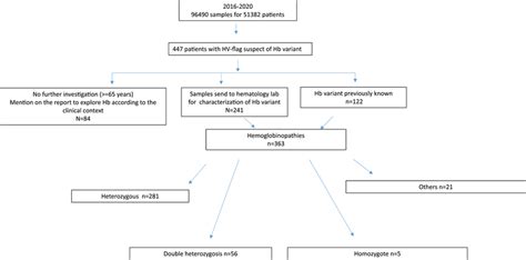 Summarizing The Different Steps Of Selection Of Patient Samples Download Scientific Diagram
