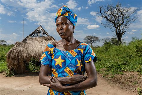 სპილოს ძვლის დევნა