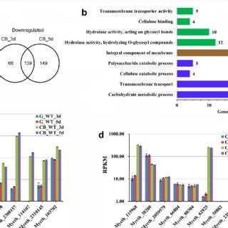 Genes With Statistically Significant Differences In Transcript Levels Download Scientific