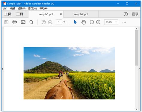 Pdfbox合并多个pdf文档 Pdfbox教程